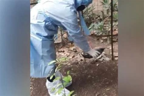 ලොව පුරා පැතිර යන වෛරසයක් ගැන ඔබ දැන ගත යුතුම දේ මෙන්න… පුවත්