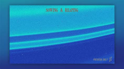 Sowing And Reaping Sermon Box