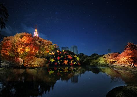 Autumn Night Garden At Shinjuku Gyoen 22nd Nov3rd Dec 2023 Tokyo