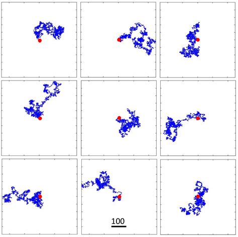Intermediate Physics For Medicine And Biology Diffusion As A Random Walk