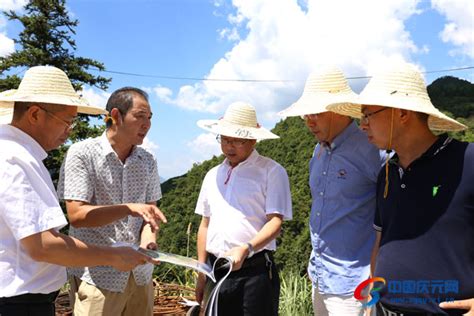 方健忠在庆元调研时强调：以争当模范为目标 努力推动绿色发展、促农增收 中国庆元网