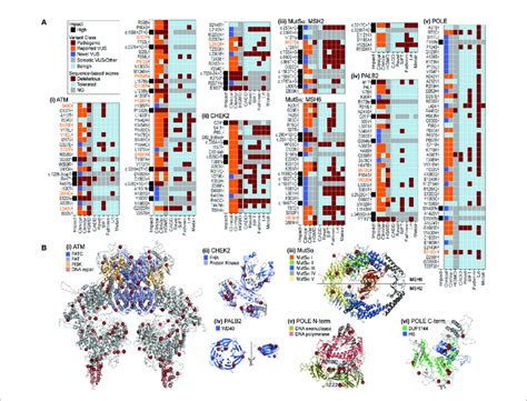 Pdac Associated Genomic Variation Has Inconsistent Patterns In Download Scientific Diagram
