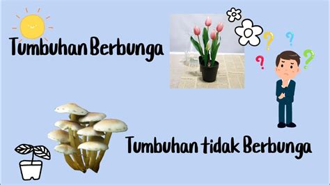 Tumbuhan Berbunga Dan Tumbuhan Tidak Berbunga Jom Kaji Youtube