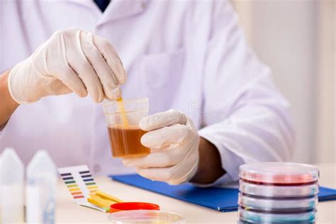 The Chemist In The Lab Checking With Ph Strips Stock Photo Image Of Biochemistry Medical