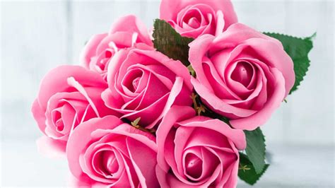 Cores De Rosas E Seus Significados Na Hora De Oferecer Flores