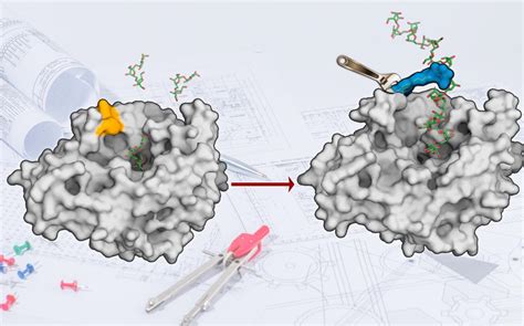New Technology For Enzyme Design Bioengineer Org
