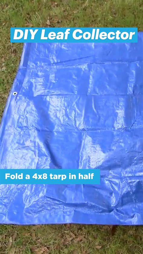 Diy Leaf Collector Artofit