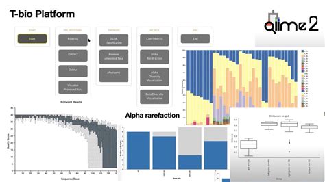 Analysis Of 16s Rrna Metataxonomics Data On T Bioinfo Server Qiime2 Youtube