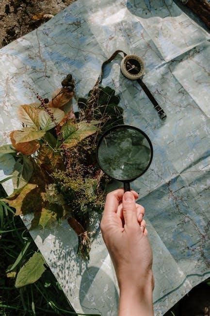 OC Sex Guide Explore Orange County S Best Adult Entertainment