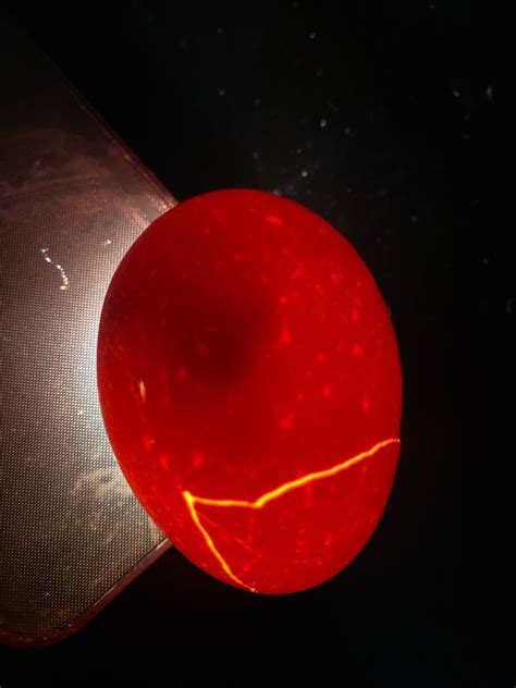 EggFertilityDetector Object Detection Dataset And Pre Trained Model By Tshwane University Of