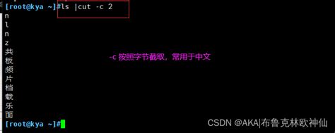 Shell 常用小工具，sort，uniq，tr，cut Csdn博客