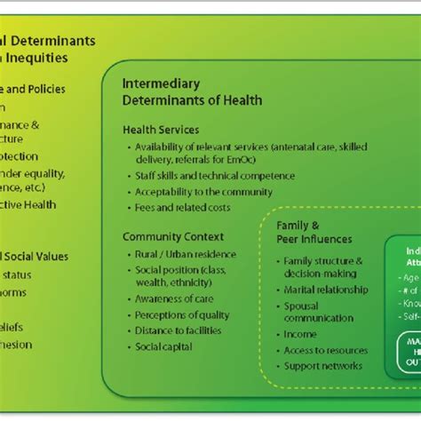 Structural Determinants Of Health Inequities Download Scientific Diagram
