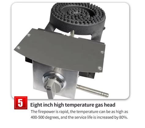 Commercial Stainless Steel Roaster Gas Charcoal Roast Duck Chicken