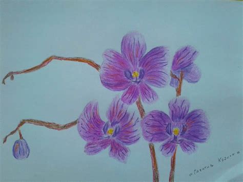 Как нарисовать орхидею поэтапно Позитив красок Дарьи Орловой Дзен