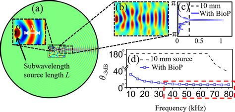 A Simulated Acoustic Wave Propagation Produced By The Biop Where The Download Scientific