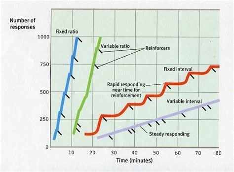 Schedules Of Reinforcement In Psychology Examples