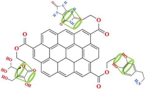 Schematic Diagram Of The Hostguest Complexes Structure Download Scientific Diagram
