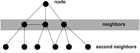 A Schematic Depiction Of Second Neighbors Of A Node Download Scientific Diagram