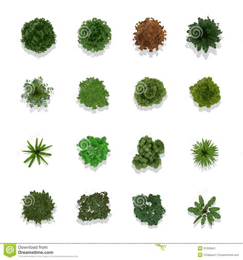 16 Architecture Plan Trees Vector Images Vector Trees Plan View