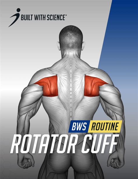 Rotator Cuff Routine Exercises Injury Prevention