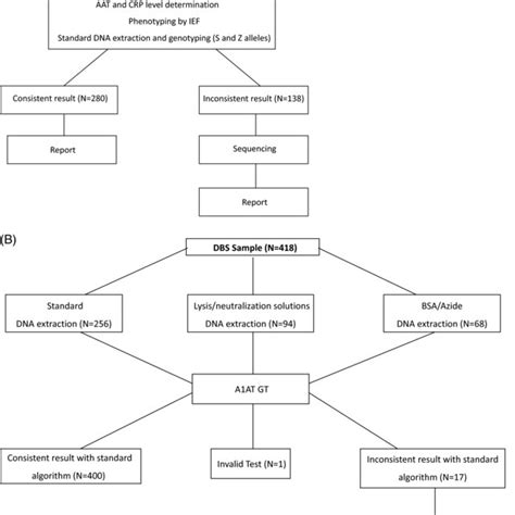 A Standard Testing Flowchart B A1at Gt Testing Flowchart Download Scientific Diagram