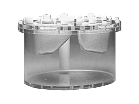 Data Spectrum Lung Phantom Britec