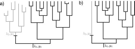 Revbayes Branch Specific Diversification Rate Estimation
