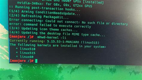 cannot boot into manjaro after timeshift restore support manjaro