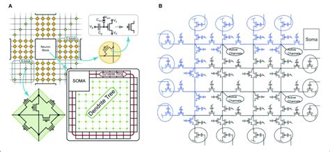 neuron ic embedded in a typical fpaa fpga routing fabric a the