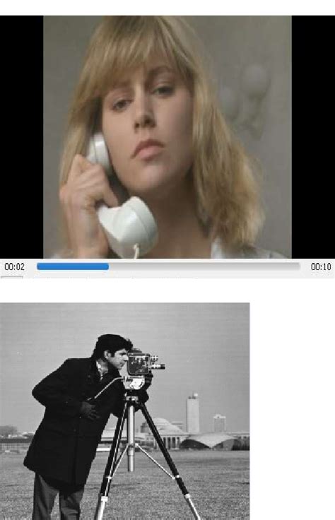 Figure 1 From A Novel Digital Video Watermarking Technique Based On