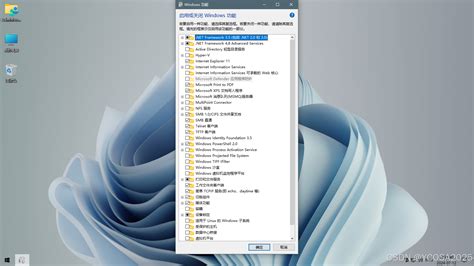 雨晨 Windows 10 Iot 企业版 2021 长期服务版 19044 4651 Csdn博客