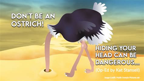 Dont Be An Ostrich Hiding Your Head Can Be Dangerous… Op Ed By Kat Stansell Tennessee