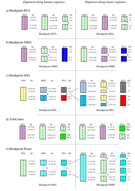 Principle Of The Classification Of Breakpoints Classification Of Download Scientific Diagram