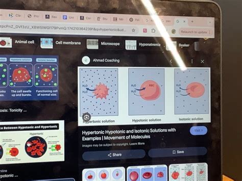 Biol10007 Topic 5 Flashcards Quizlet