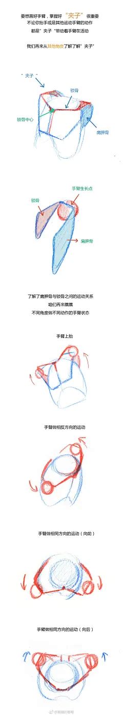 如何画脖子 小红书 花瓣网
