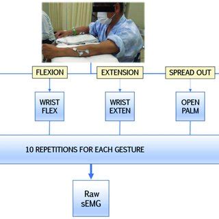 The Experimental Protocol For Detecting SEMG Signals During Gestures Download Scientific Diagram