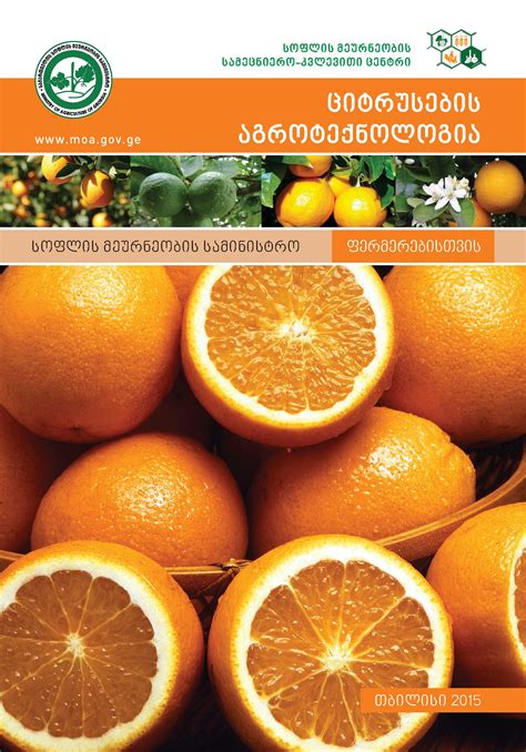 მებაღეობა