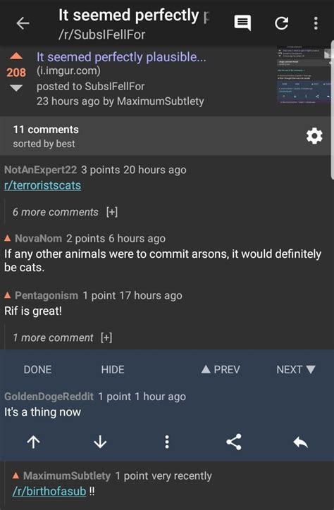 Cats Who Commit Arson Rbirthofasub