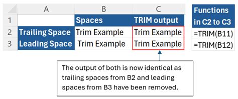 Remove Trailing Leading And Extra Spaces In Excel With The Trim Function