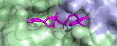Q Biolip Quaternary Structure Based Protein Ligand Interactions