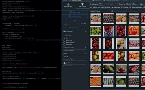 Python SDK Integration To Improve Mass Data Labeling Dataloop