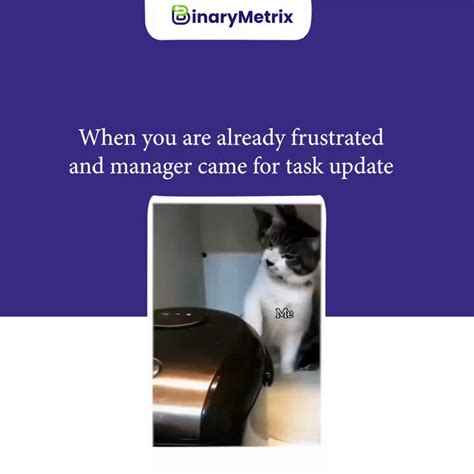 Binarymetrix Technologies Pvt Ltd On Linkedin Manager