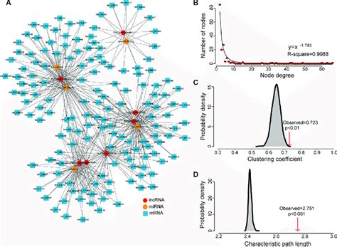 The Layout Of Dysregulated Lncrna Mediated Cerna Network Dlcn And Its