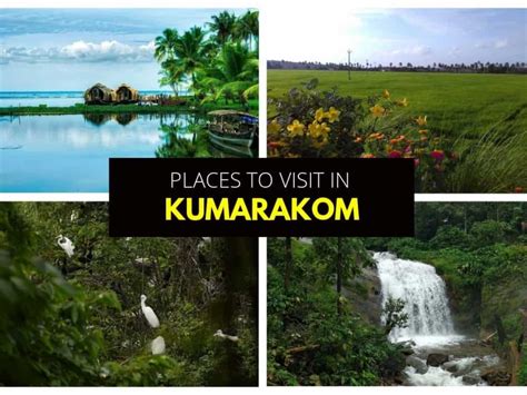 Kumarakom Tourist Attractions 60 Photos