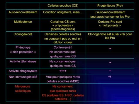 How Fat Stem Cells Could Or Not Form Muscle Cells Eng Ppt