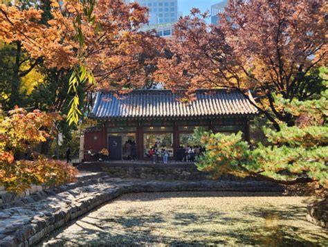 당신이 놓친 이 곳 꽁꽁 숨은 카페의 정체에 누리꾼 환호