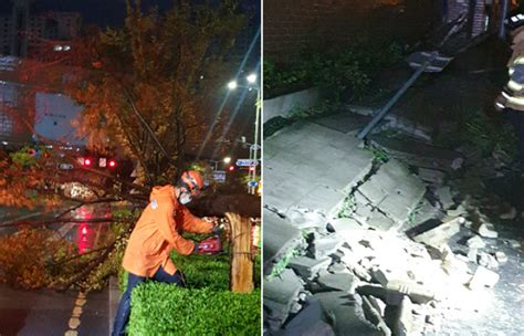 태풍 난마돌 강풍에 부산 시설물 피해 속출…부상 2명 종합 노컷뉴스