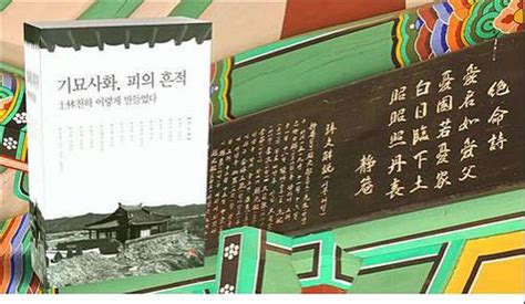 기묘사화 피의 흔적 사림 천하 이렇게 만들었다 화순매일신문