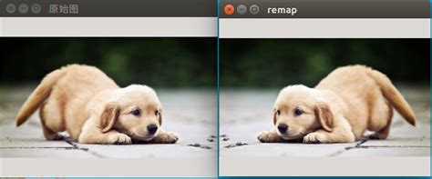 opencv remap函数测试 remap（）简单重映射 无左无右 博客园