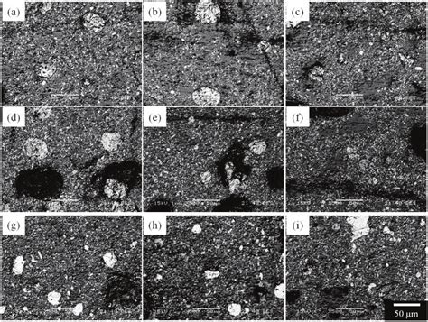 Microstructures Of Series A A C1 B B1 C A1 D C2 E B2 F Download Scientific